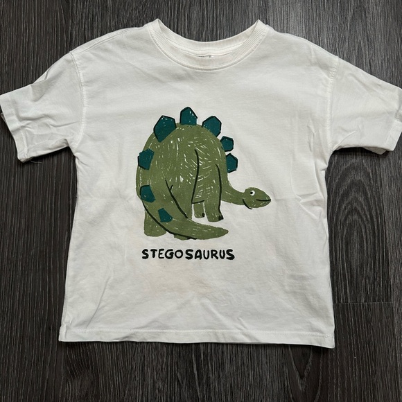 Zara | Shirts & Tops | Zara Kids Dinosaur Graphic Tshirt White | Poshmark